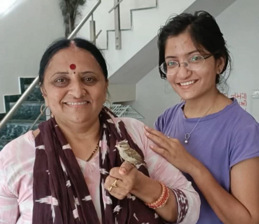 આવા લોકોની સંવેદનાથી ચકલી ઘર અને સંખ્યા વધ્યાં! | chitralekha