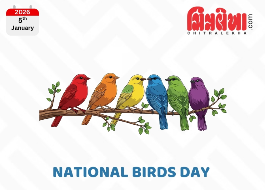 National Bird Day : કયું પક્ષી કયા રાજ્યની ઓળખ છે? આખી યાદી જુઓ ...